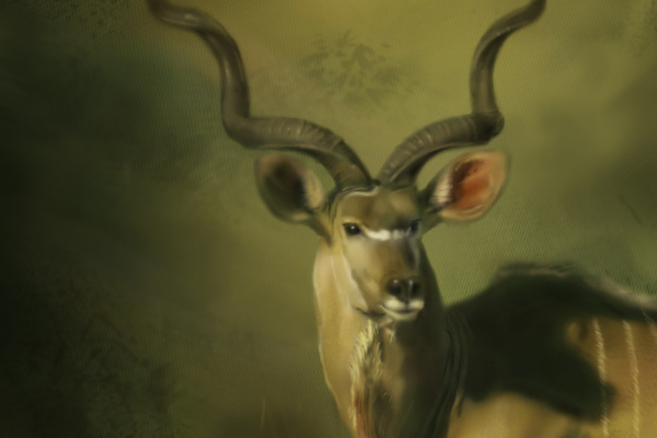 Razorback - himynameisivan